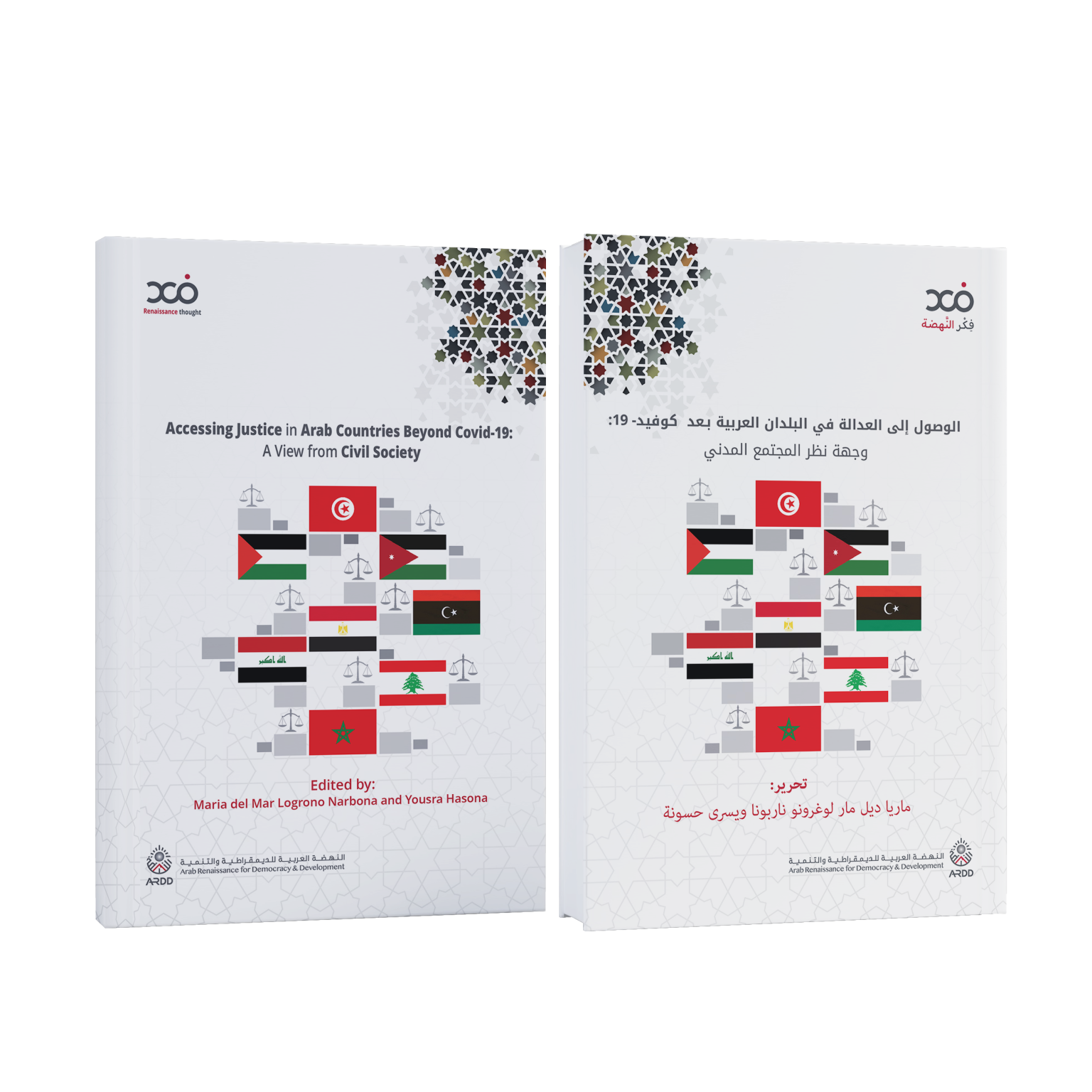 Accessing Justice in Arab Countries Beyond Covid-19:A View from Civil ...